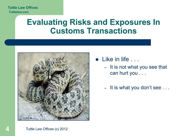 Evaluating Customs Risks | PPT