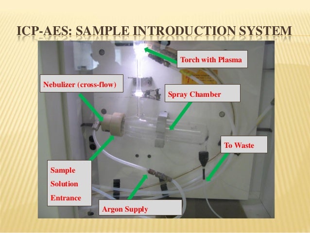 Elemental Analysis of Plants (ICP and EA)