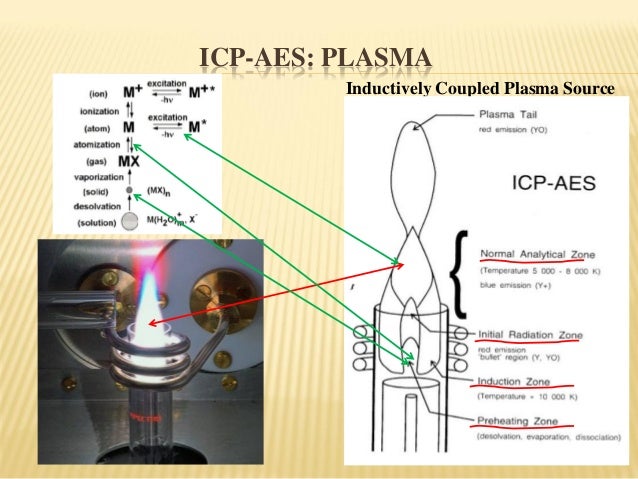 Elemental Analysis of Plants (ICP and EA)