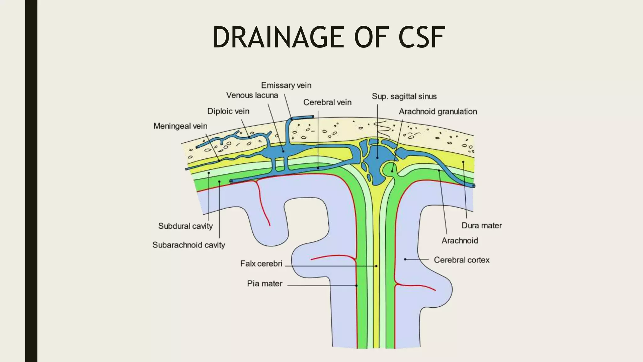 ICP control and CSF drainage - Final.pptx