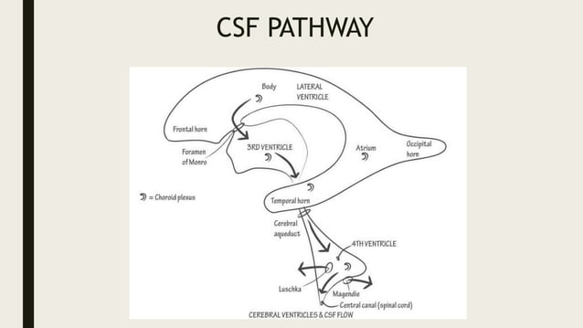 ICP control and CSF drainage - Final.pptx