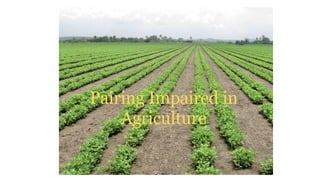 ICRISAT Seed System by Dr MS Basu - 08.11.2024 | Agriculture | Industries