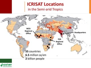 ICRISAT Communication Initiatives | PDF
