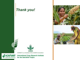 Gender Research Strategy for Dryland Systems in South Asia | PPT