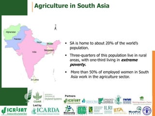 Gender Research Strategy for Dryland Systems in South Asia | PPT