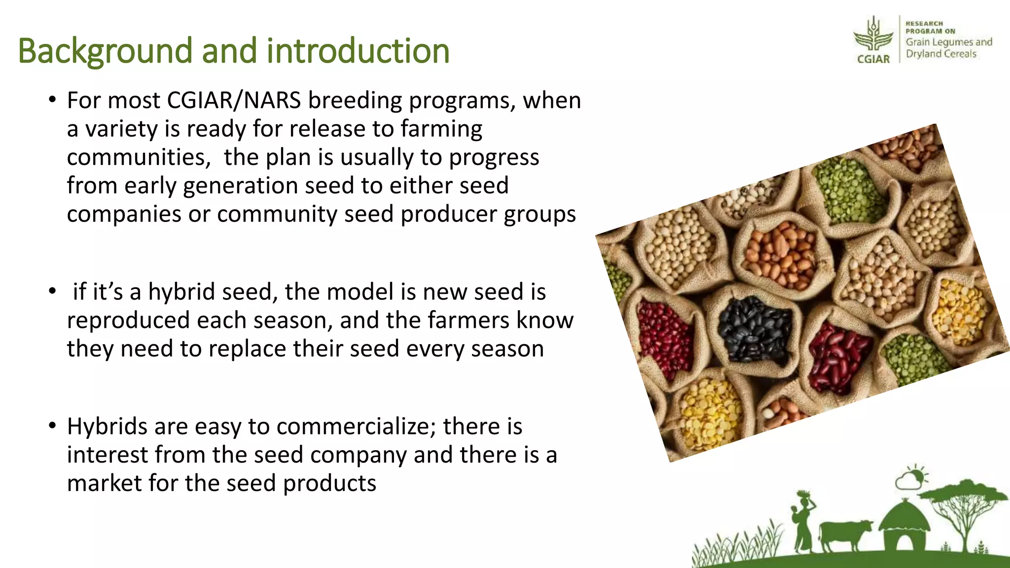 Friends, neighbours and village cereal stockists: hope for non-hybrid ...