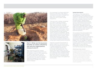 Unlocking the hidden value of Carbon Offsetting | PPT