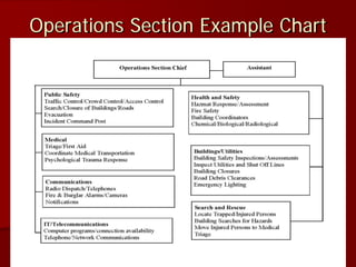Basic Incident Command System for College DRRM Subject | PDF | Civil ...