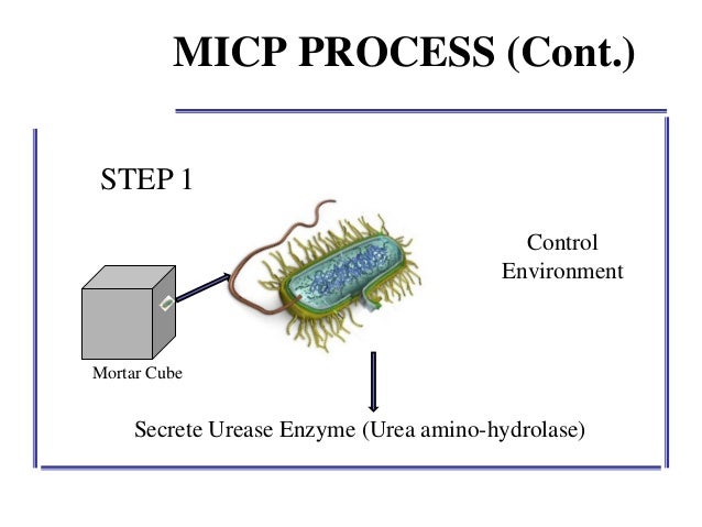 International Concrete Sustainability Conference 2013 Bijoy