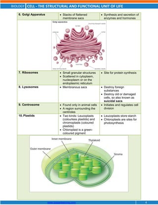ICSE Class X Biology Cell The Structural and Functional Unit of Life | PDF