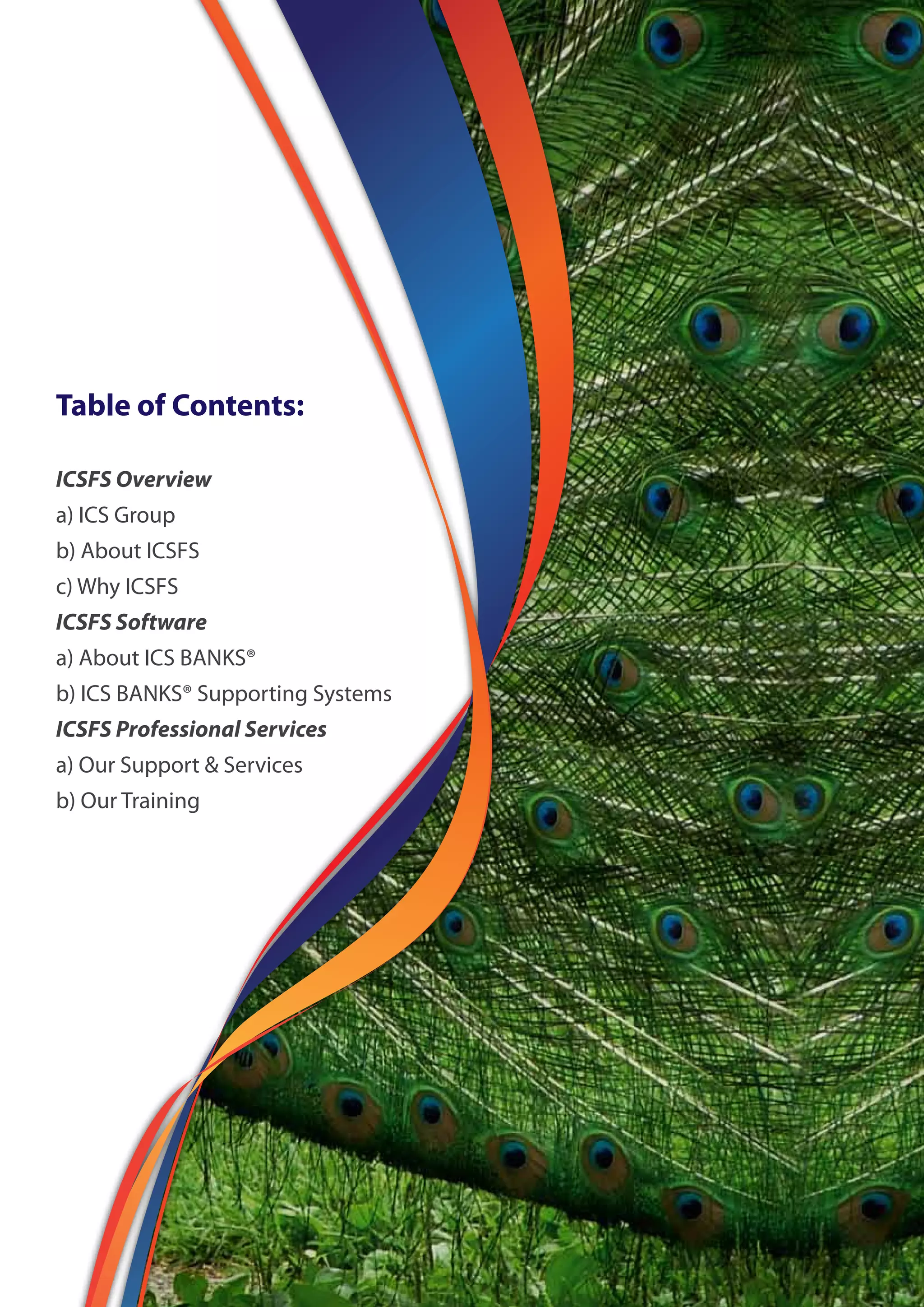 Icsfs brochure | PDF