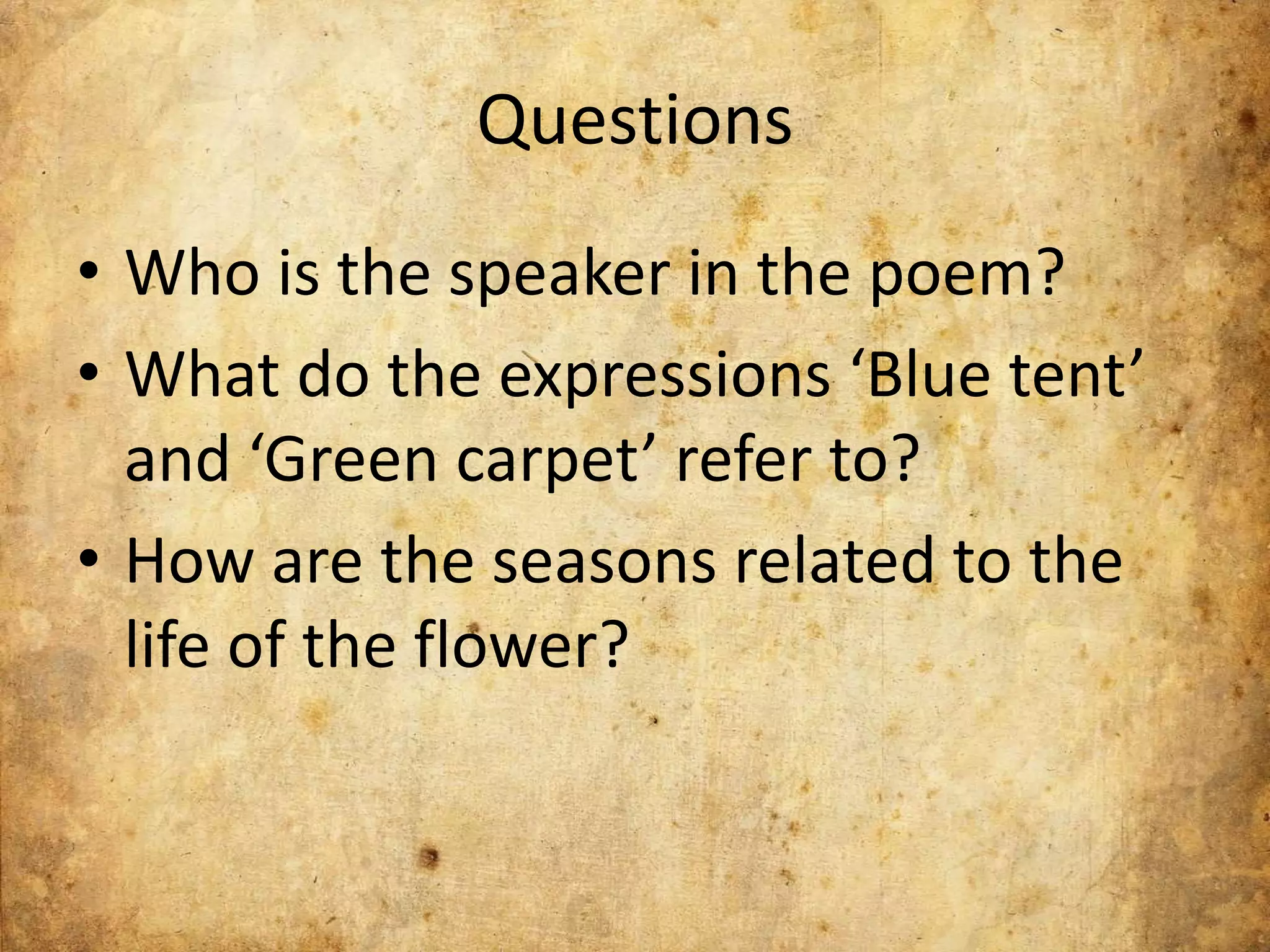 Song of the Flower ICT Lesson | PPTX
