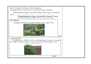 ICT Lesson Template | PPT