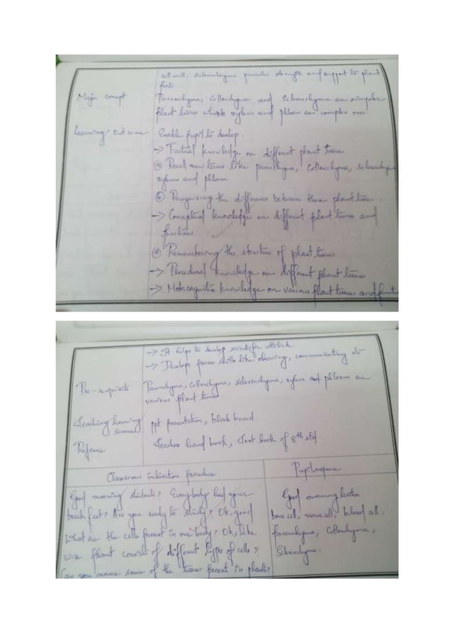 Ict lesson plan | PDF