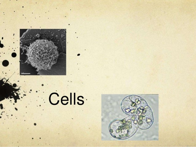 Ict cells powerpoint