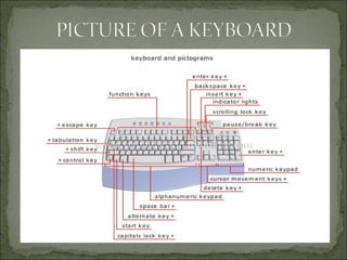 Ict 123 input devices | PPT