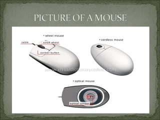 Ict 123 input devices | PPT