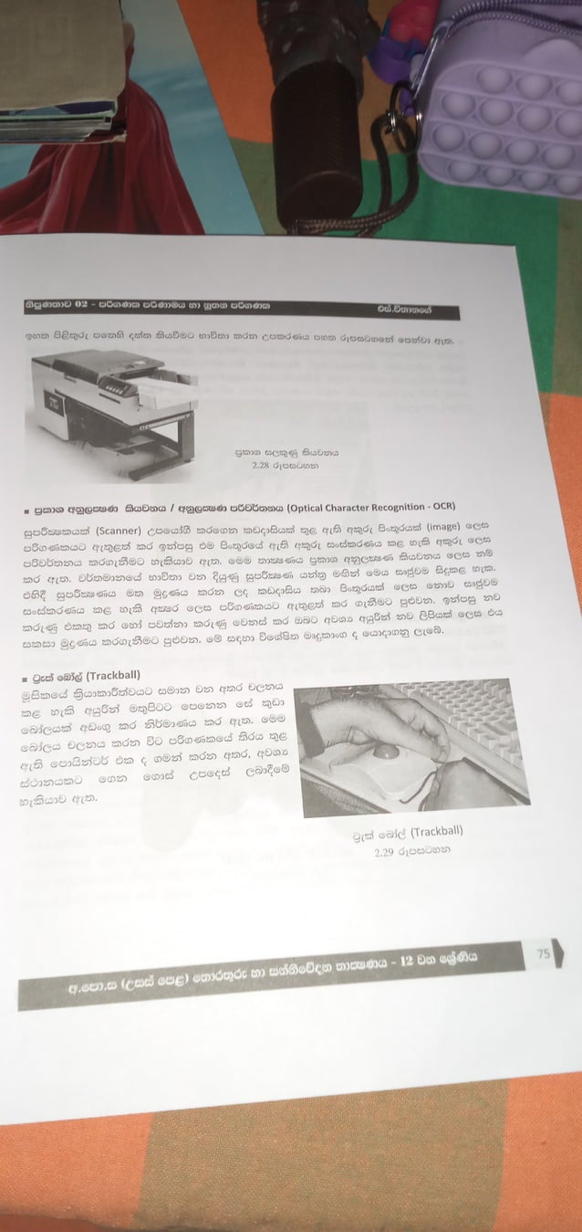 ict grade 12 lesson 2 sinhala medium notes pdf | PDF