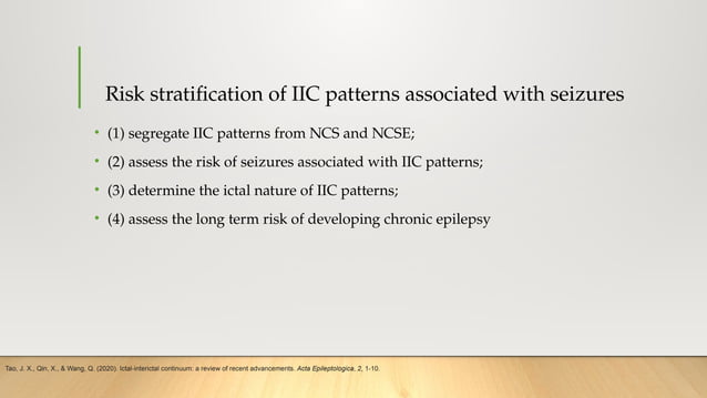 Ictal-interictal Continuum, Neither Interictal nor Ictal.pptx