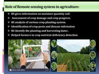 Ict and rural development | PPTX