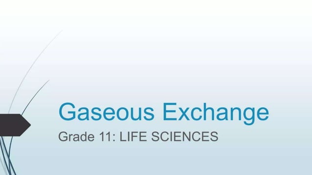 Gaseous Exchange Life Sciences Grade 11 | PPTX