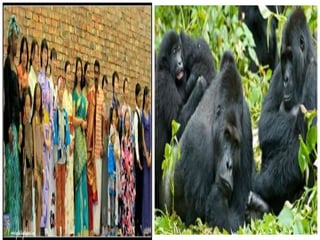 Ict based lesson | PPTX