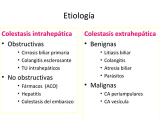 Ictericia | PPT