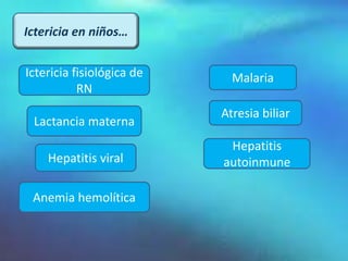 Ictericia | PPTX