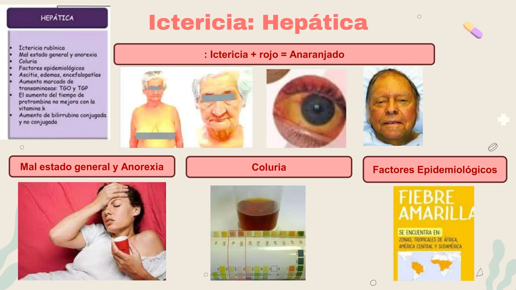 Clasificación de Ictericia, prehepatica, hepatica y posthepatica | PPTX
