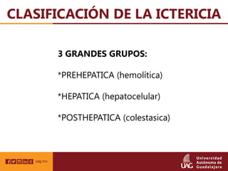 ICTERICIA.pptx presentacion de diapositiva | PPTX