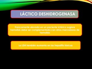 ICTERICIA CAUSAS EN CIRUGIA | PPT