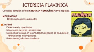 ICTERICIA difentes tipos de itero[1].pptx