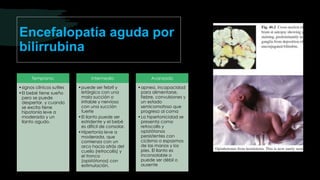 ICTERICIA INFANTIL Y NEONATAL 2024 v2.0.pdf