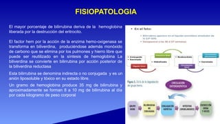 ICTERICIA_NEONATAL EN pediatria2.0[1].pptx