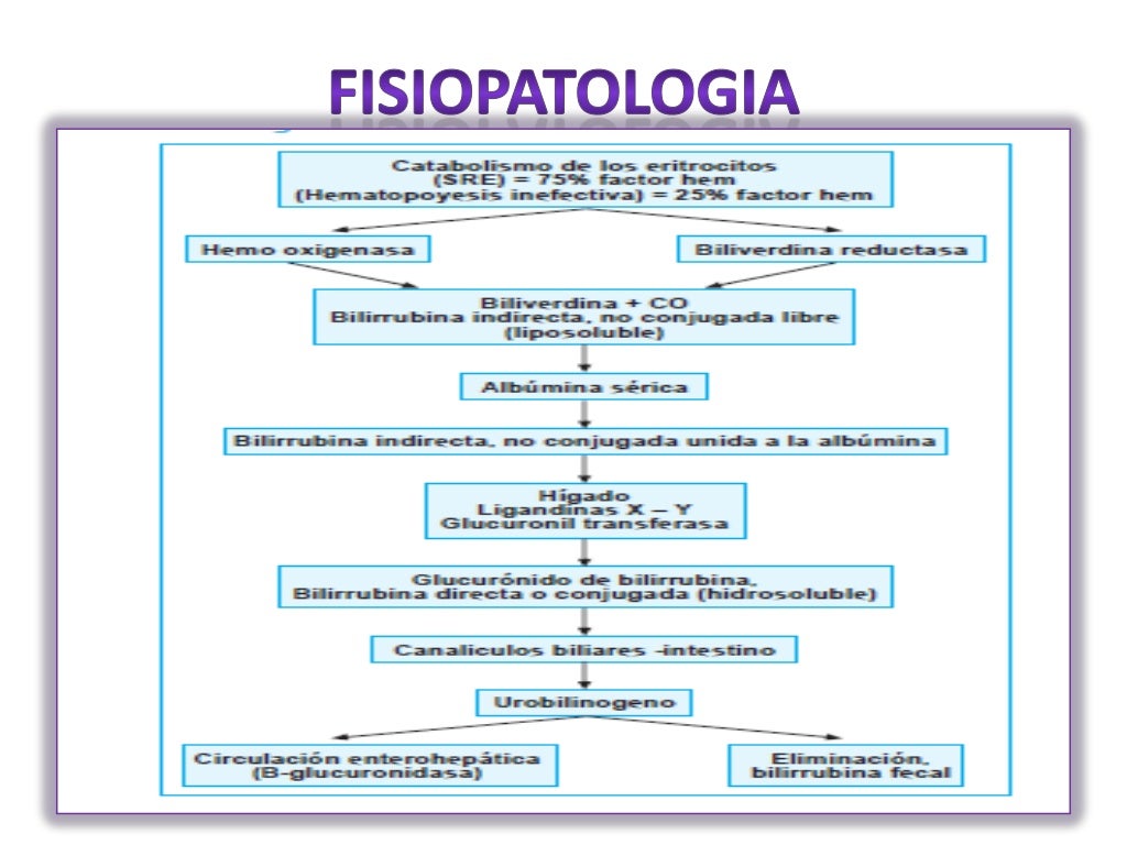Ictericia Neonatal Tema 3