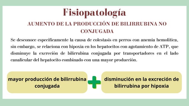 Ictericia Pre-Hepática.pdf