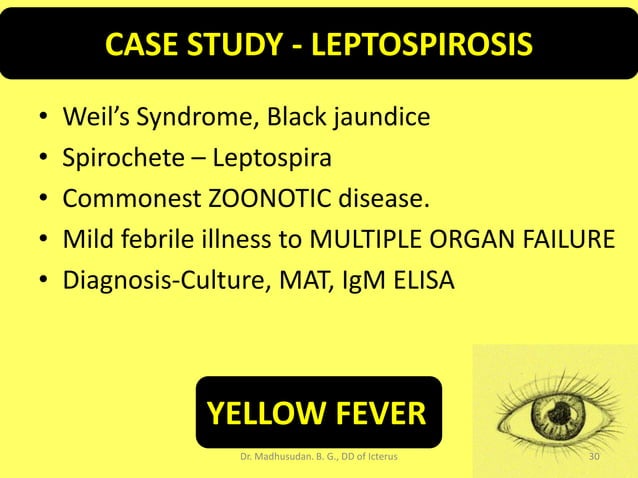Differential Diagnosis of Icterus/Jaundice | PPTX | Blood Disorders ...