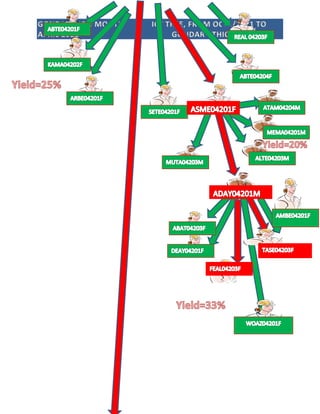 ICT Gondar FINAL.pdf
