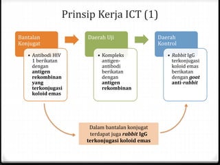 Pemeriksaan HIV dan Anti-T. pallidum Metode Imunokromatografi | PPTX