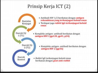 Pemeriksaan HIV dan Anti-T. pallidum Metode Imunokromatografi | PPTX