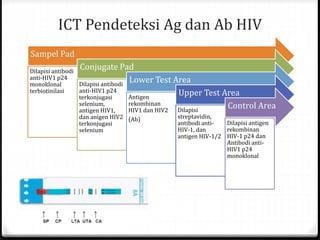 Pemeriksaan HIV dan Anti-T. pallidum Metode Imunokromatografi | PPTX