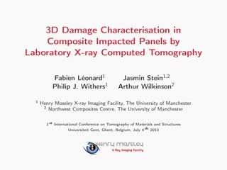 3D Damage Characterisation in Composite Impacted Panels by Laboratory X-ray Computed Tomography ...