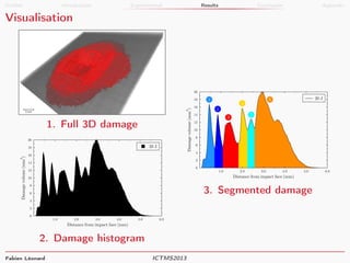 3D Damage Characterisation in Composite Impacted Panels by Laboratory X ...