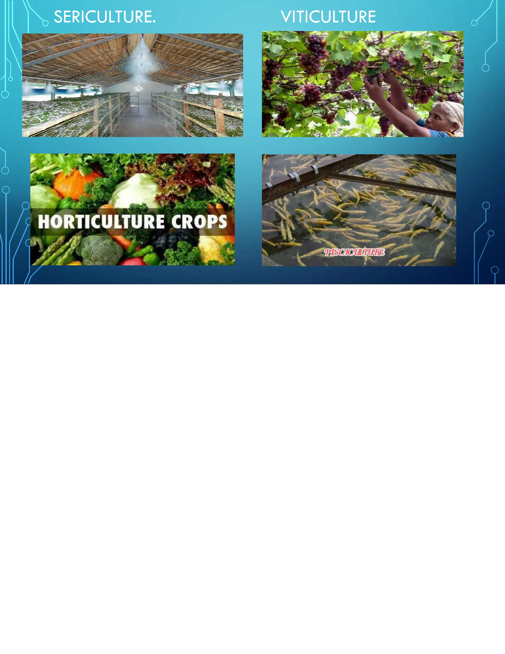 About Agricultural activities and it's types | PDF