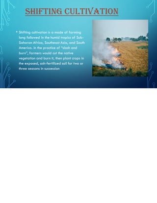 About Agricultural activities and it's types | PDF