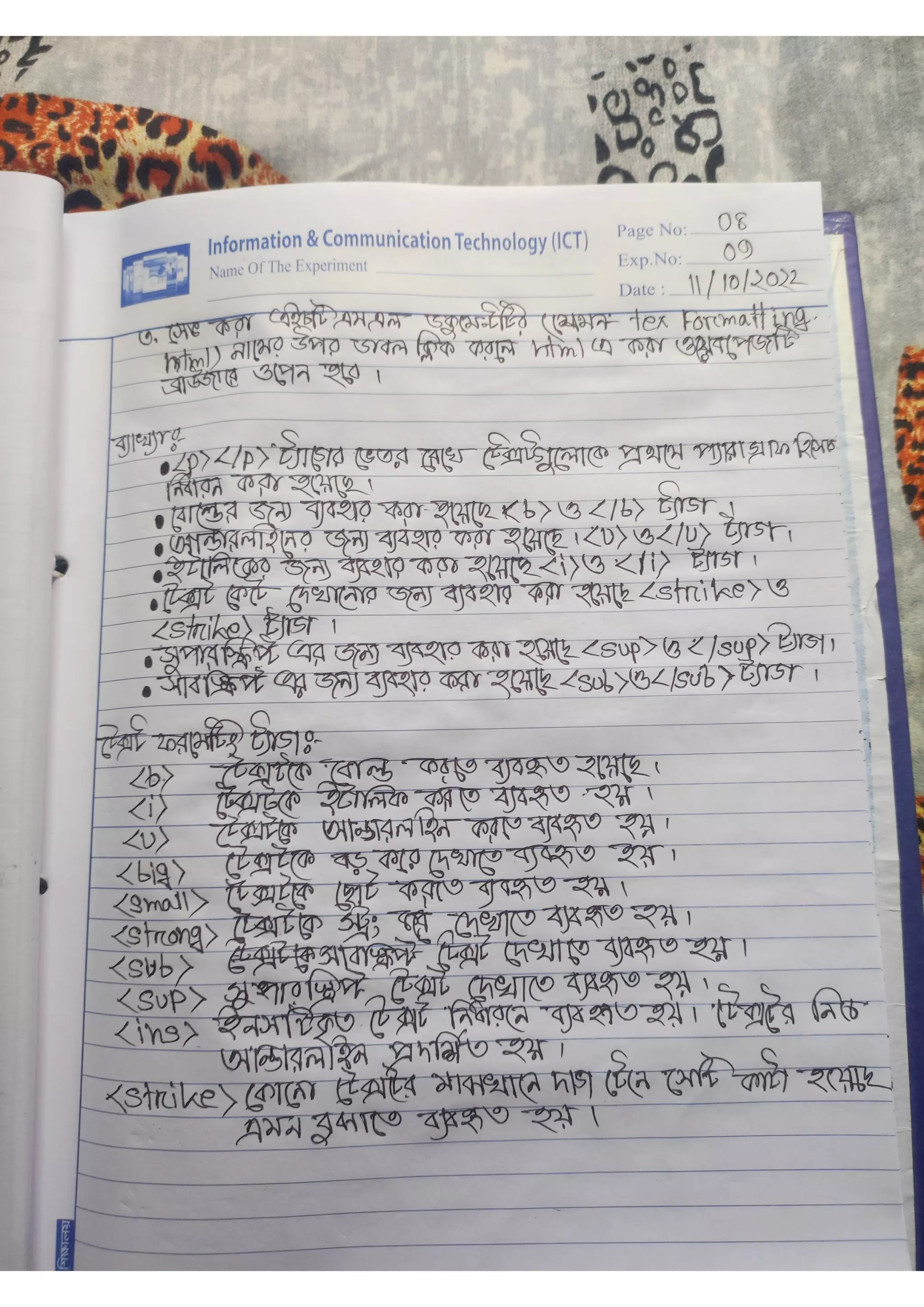 hsc ict practical 2024.pdf