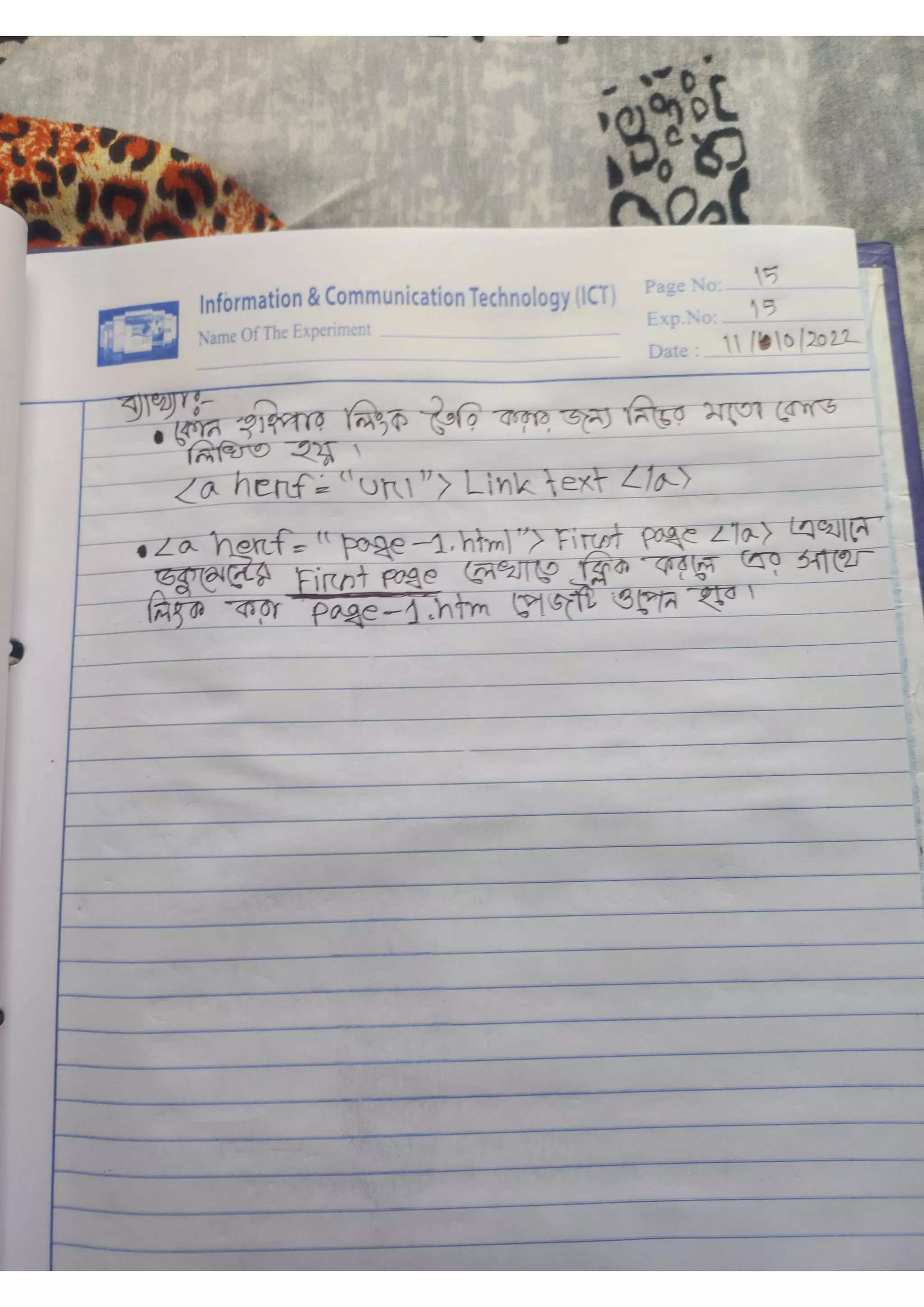 hsc ict practical 2024.pdf