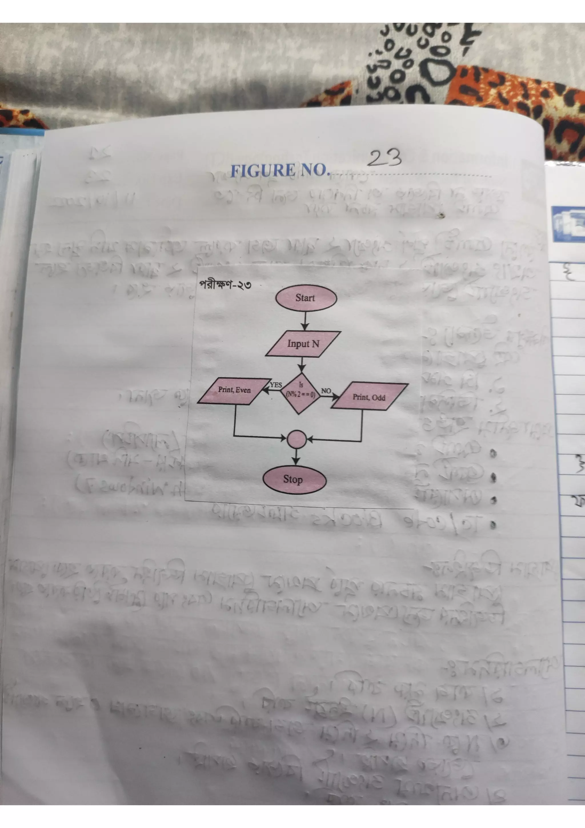 hsc ict practical 2024.pdf