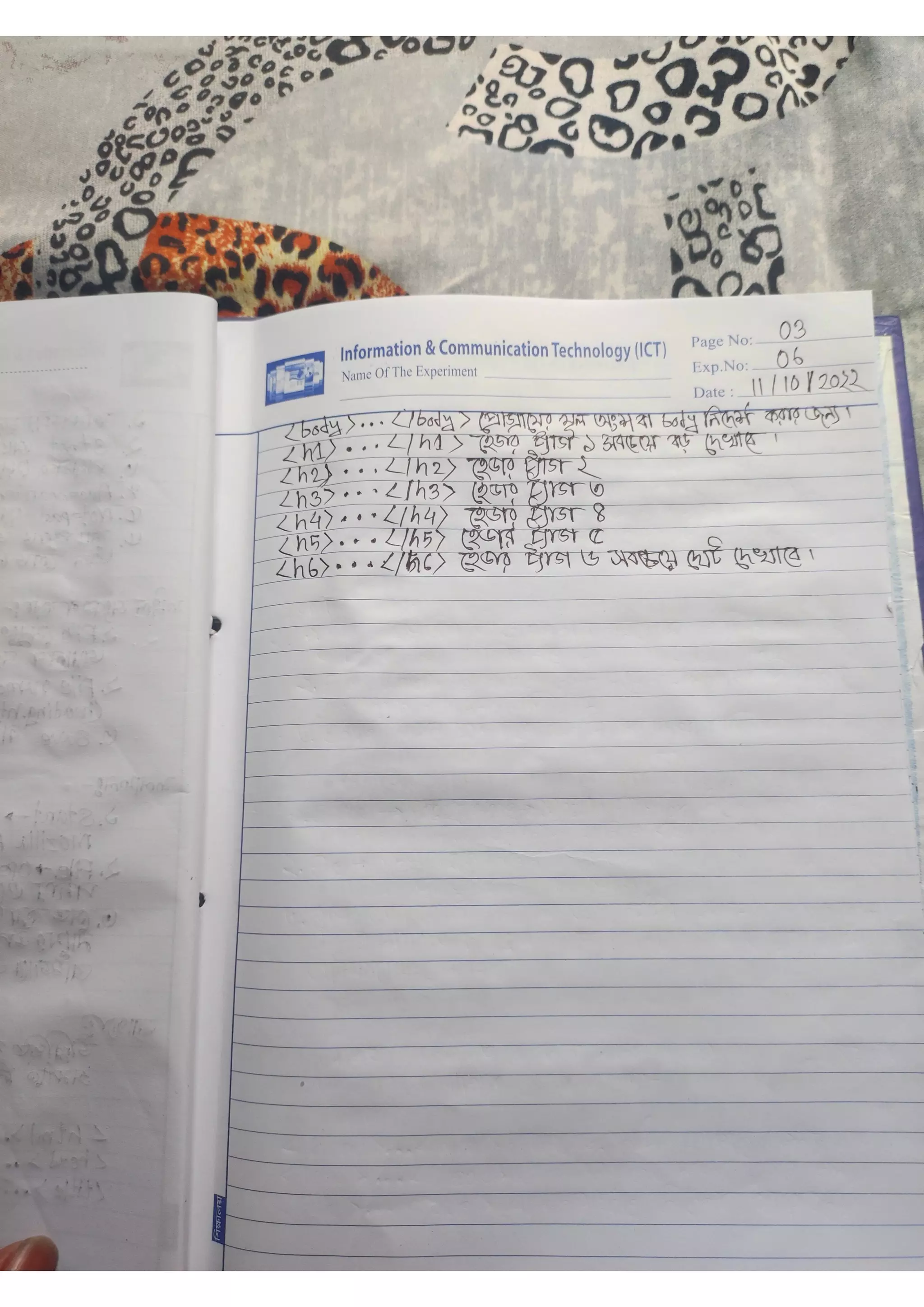 hsc ict practical 2024.pdf