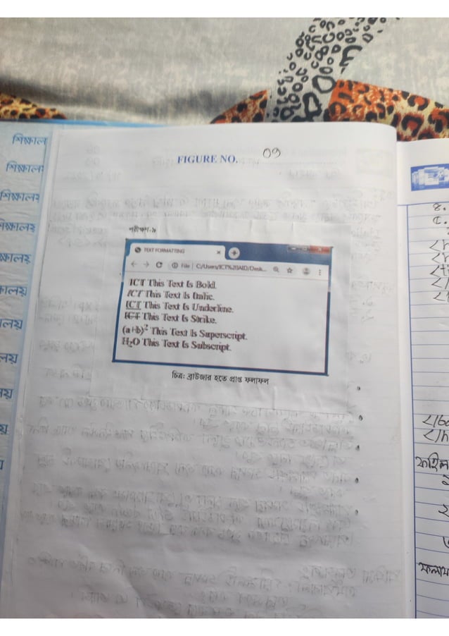 hsc ict practical 2024.pdf